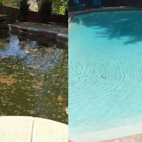 Pool Algae Removal Service - Green Pool Clean Services - Elite Pool Service
